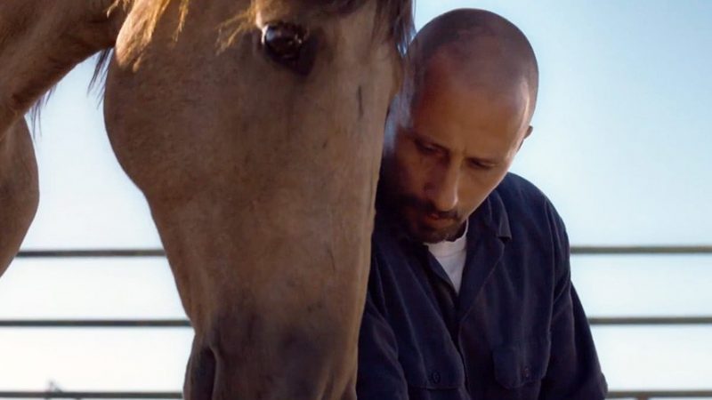 The Mustang - Frank Movie Reviews Mustang horses prisoner reform